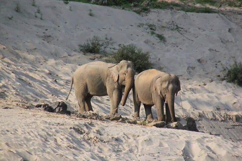 Bokeo au Laos : Guide complet pour explorer cette région paisible